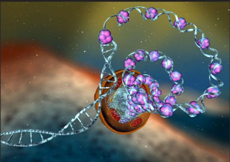 Nature vs Nurture and........