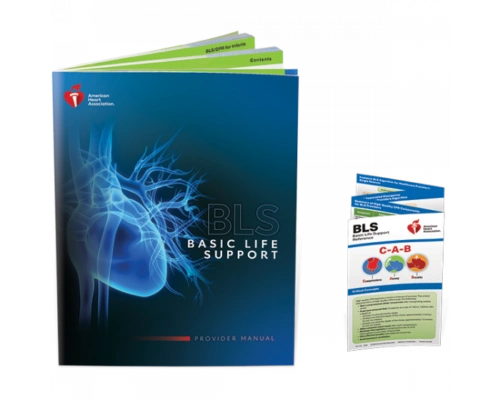 BLS Basic Life Support
