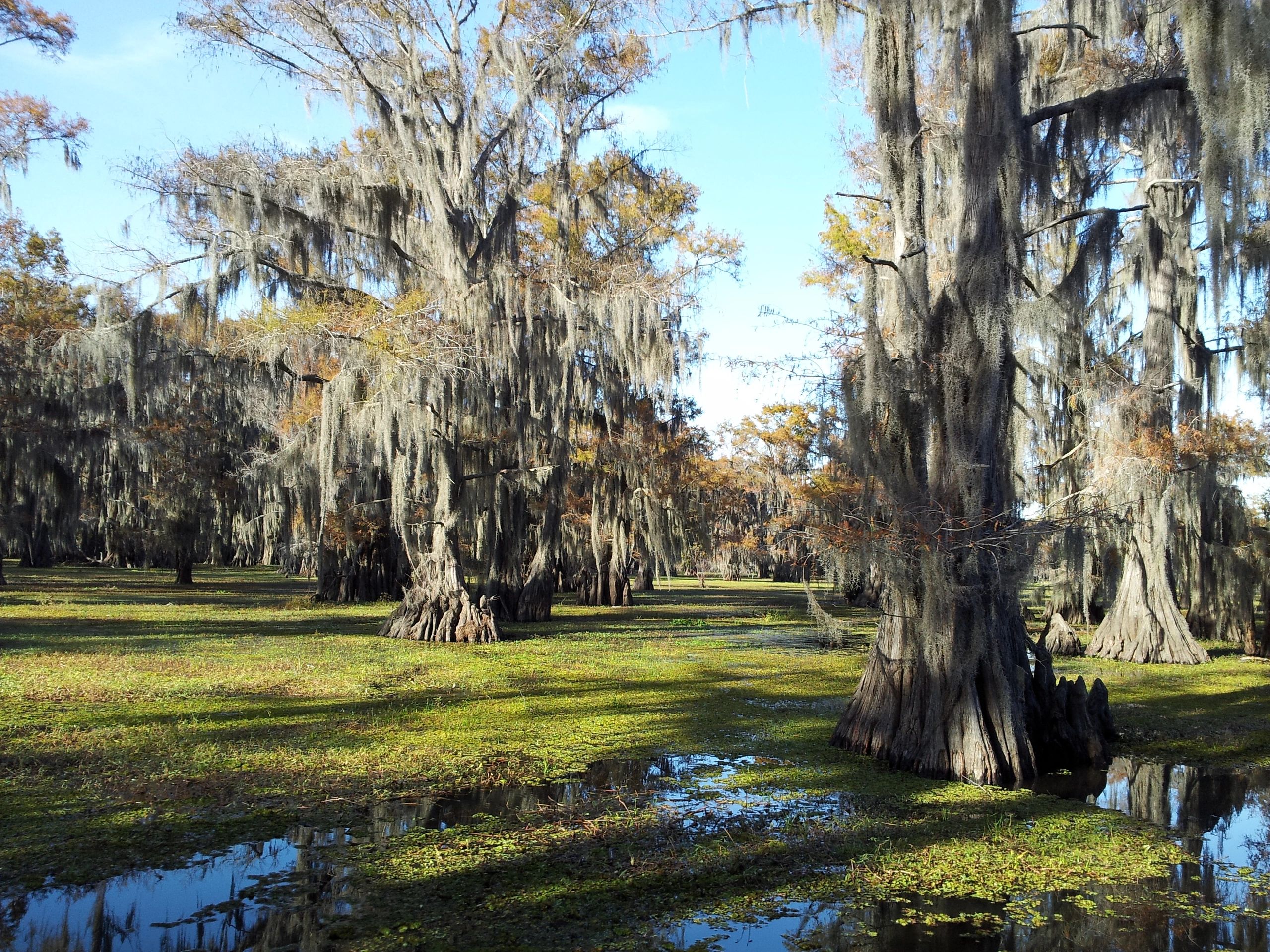 Home Page [gbandi.com]