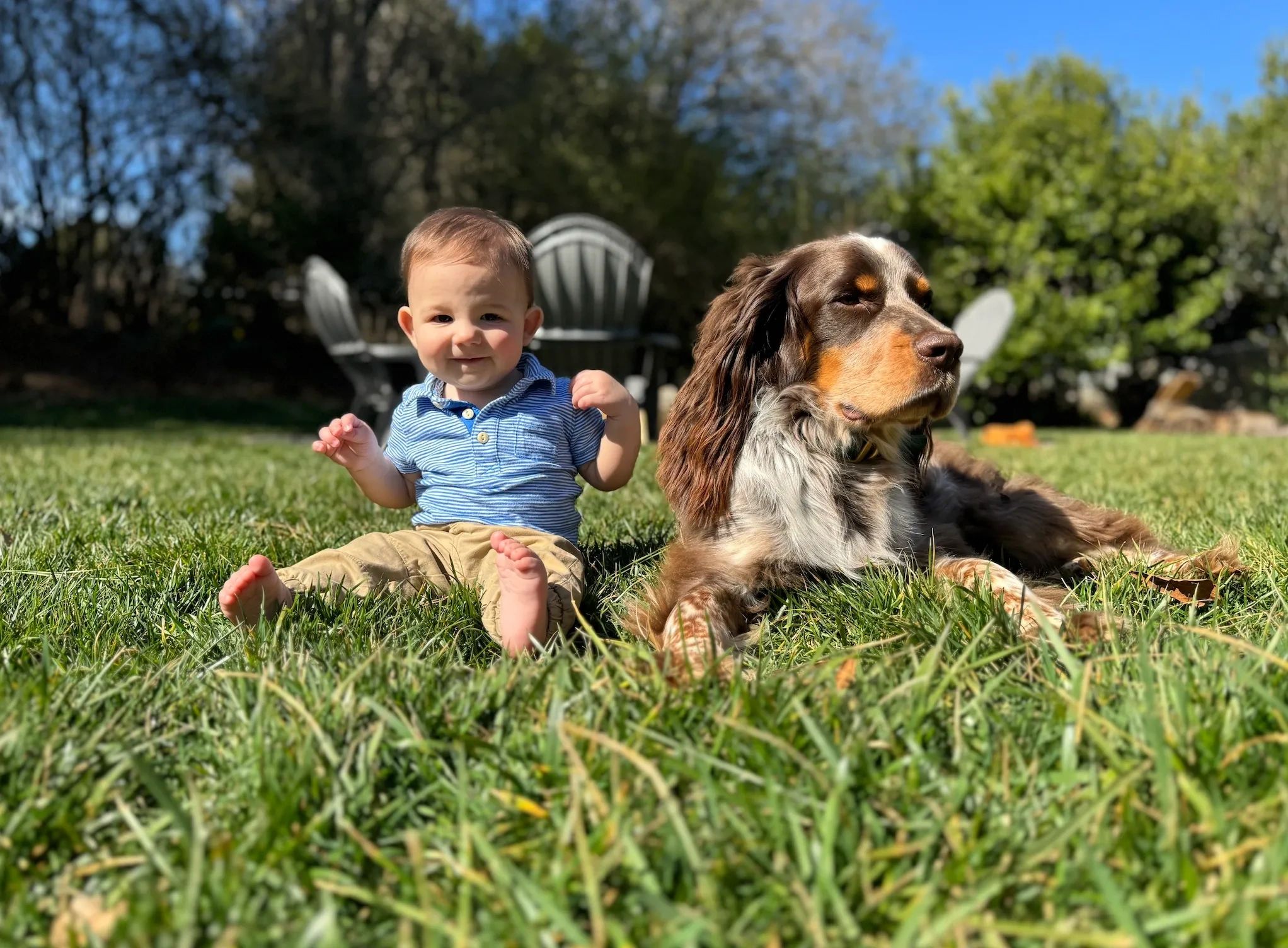 Home [grassdaddyturf.com]