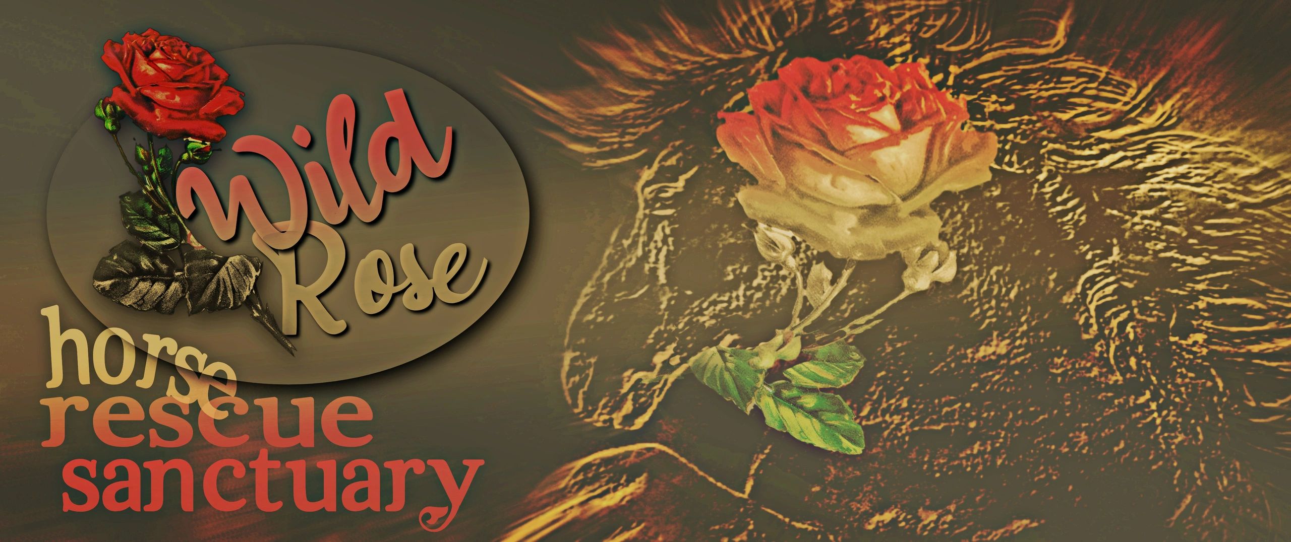 Wild Rose Sanctuary