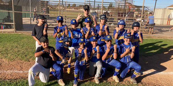 Whitecaps Baseball Academy