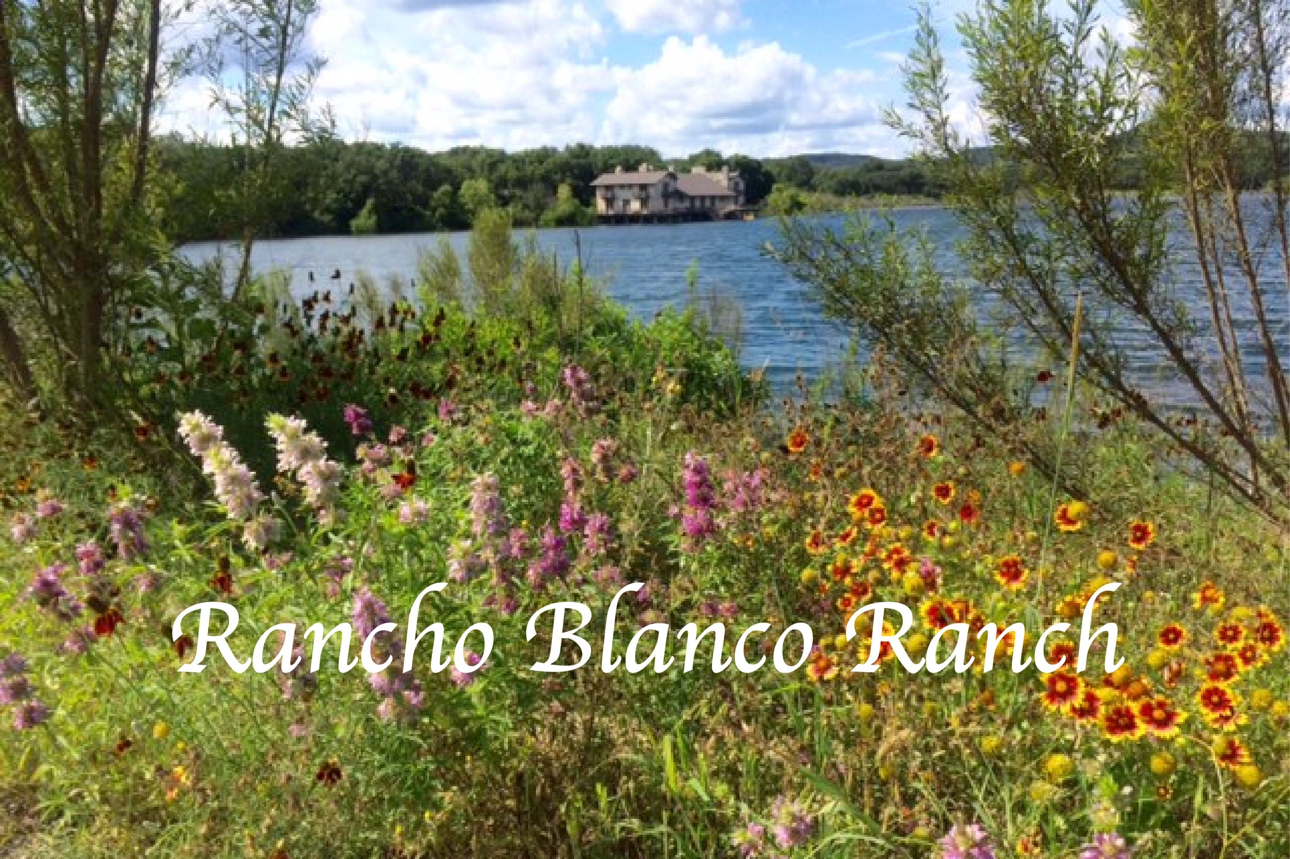 History & Pictures | Ranchoblancoranch