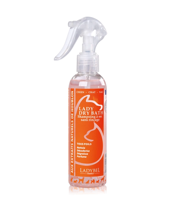 LADY DRY BATH Leave In Shampoo