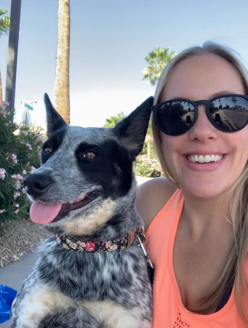 Ash's Recommendations