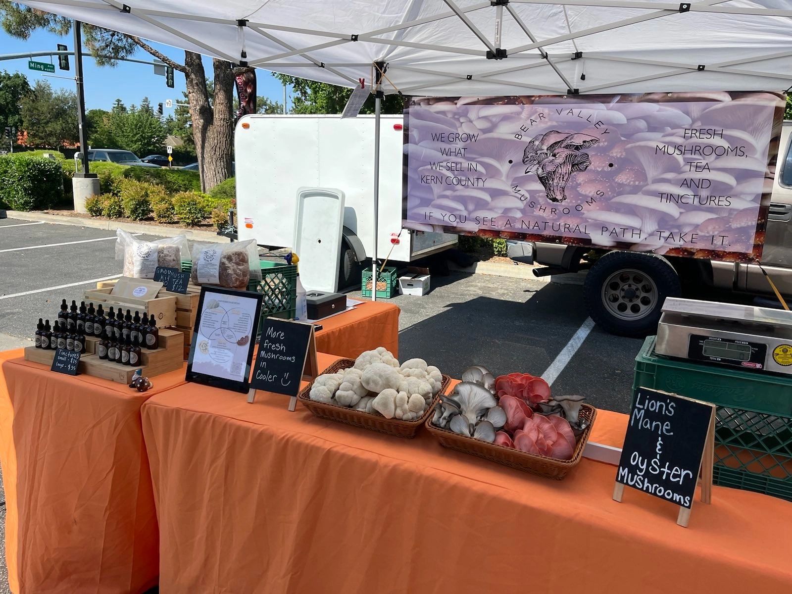 About | Bear Valley Mushrooms