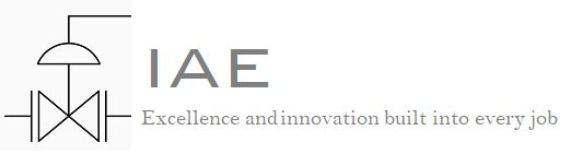 Instrumentation and Automation Engineering Limited