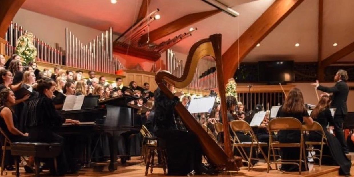 PROFILE | Harpist Laura Hoffman