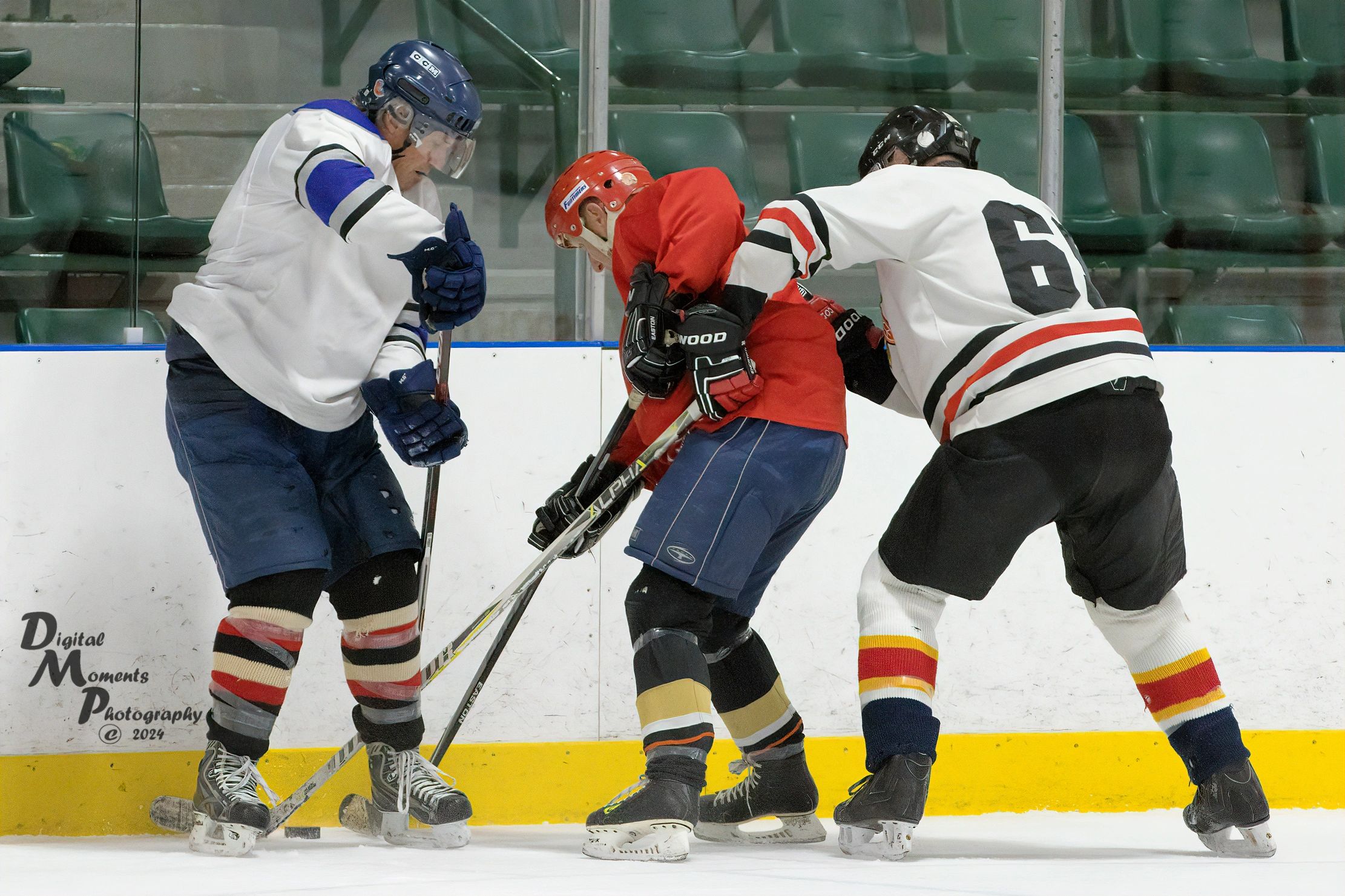 2024 SNAPPER 0213 PART2 | Digital Moments Photography