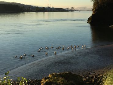 City of Prescott Oregon