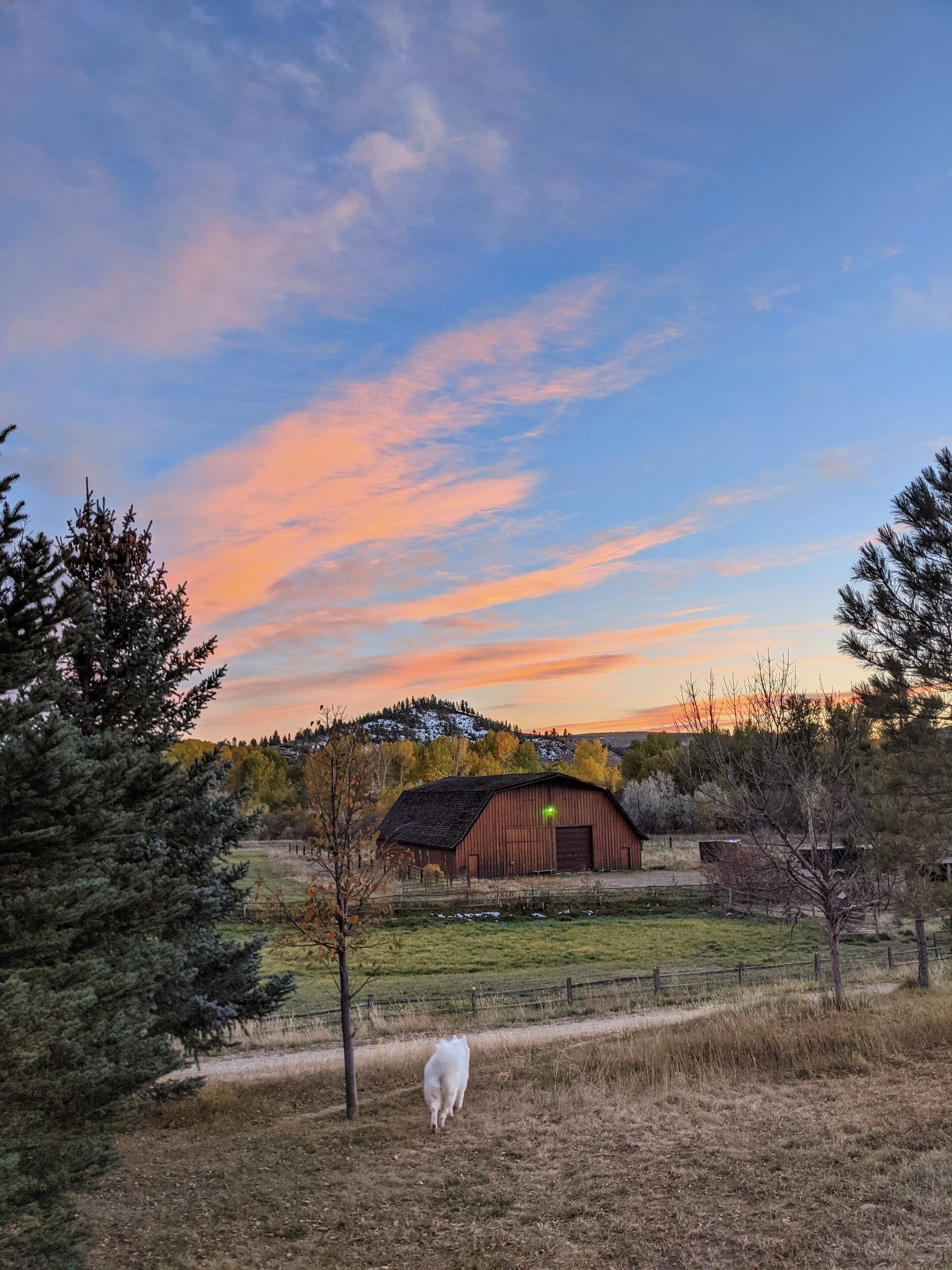 About | Patrick Daley