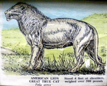 The Lesser-Known Cryptids of West Virginia