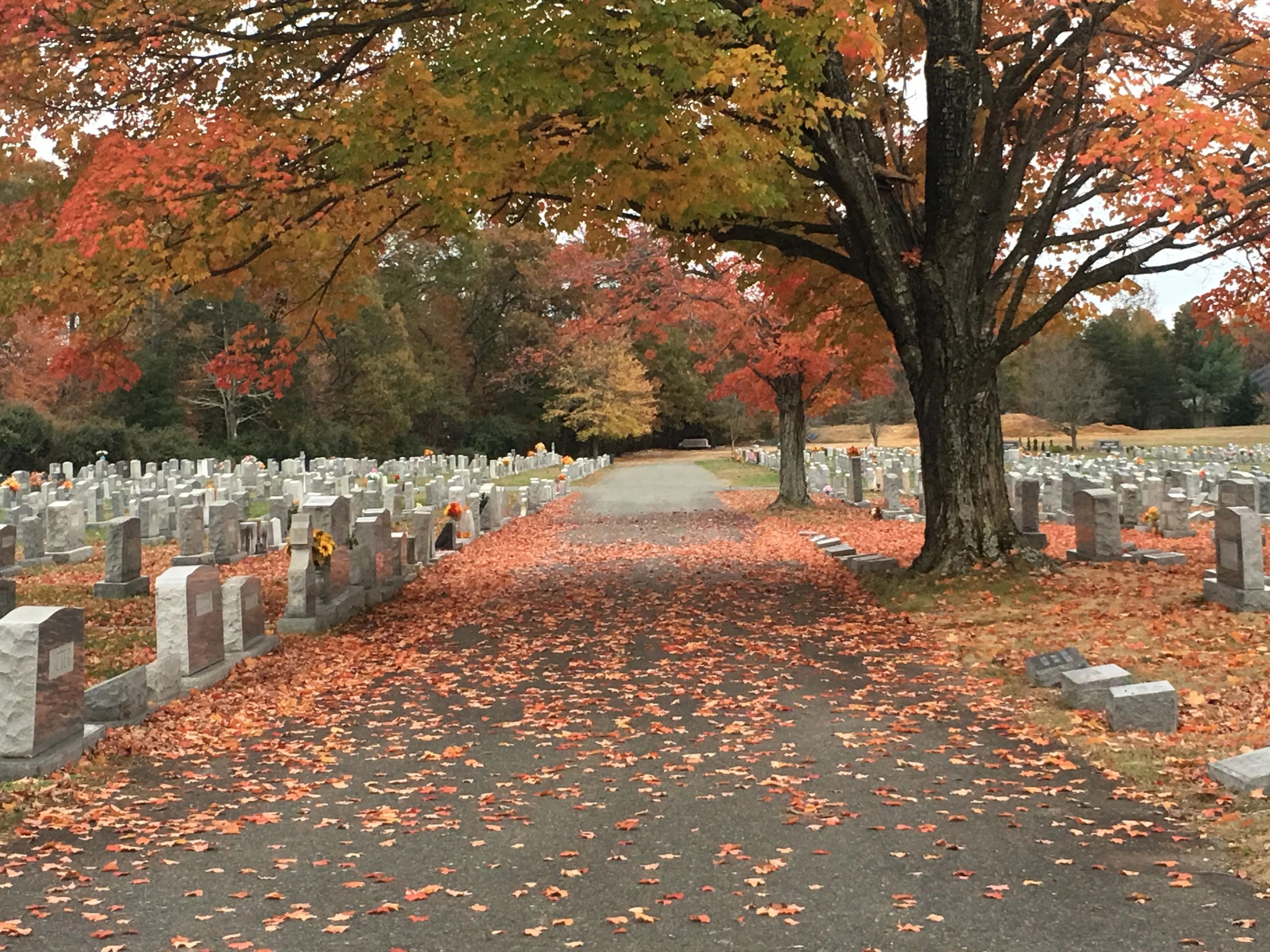 Manning Memorial Services - Gravesite Maintenance, Headstones