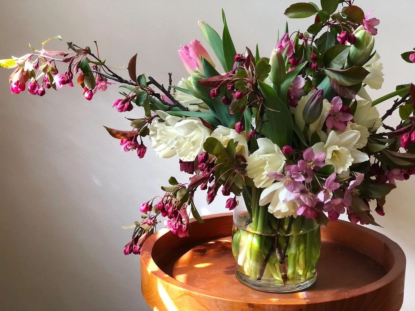 Fern Floral - Florist, Houseplants, Garden