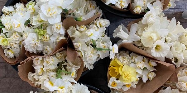 Fern Floral - Florist, Houseplants, Garden