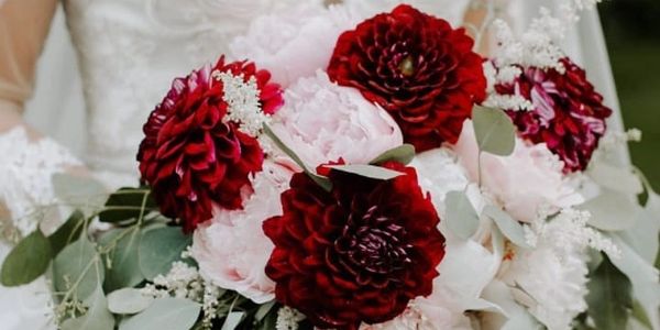 Fern Floral - Florist, Houseplants, Garden