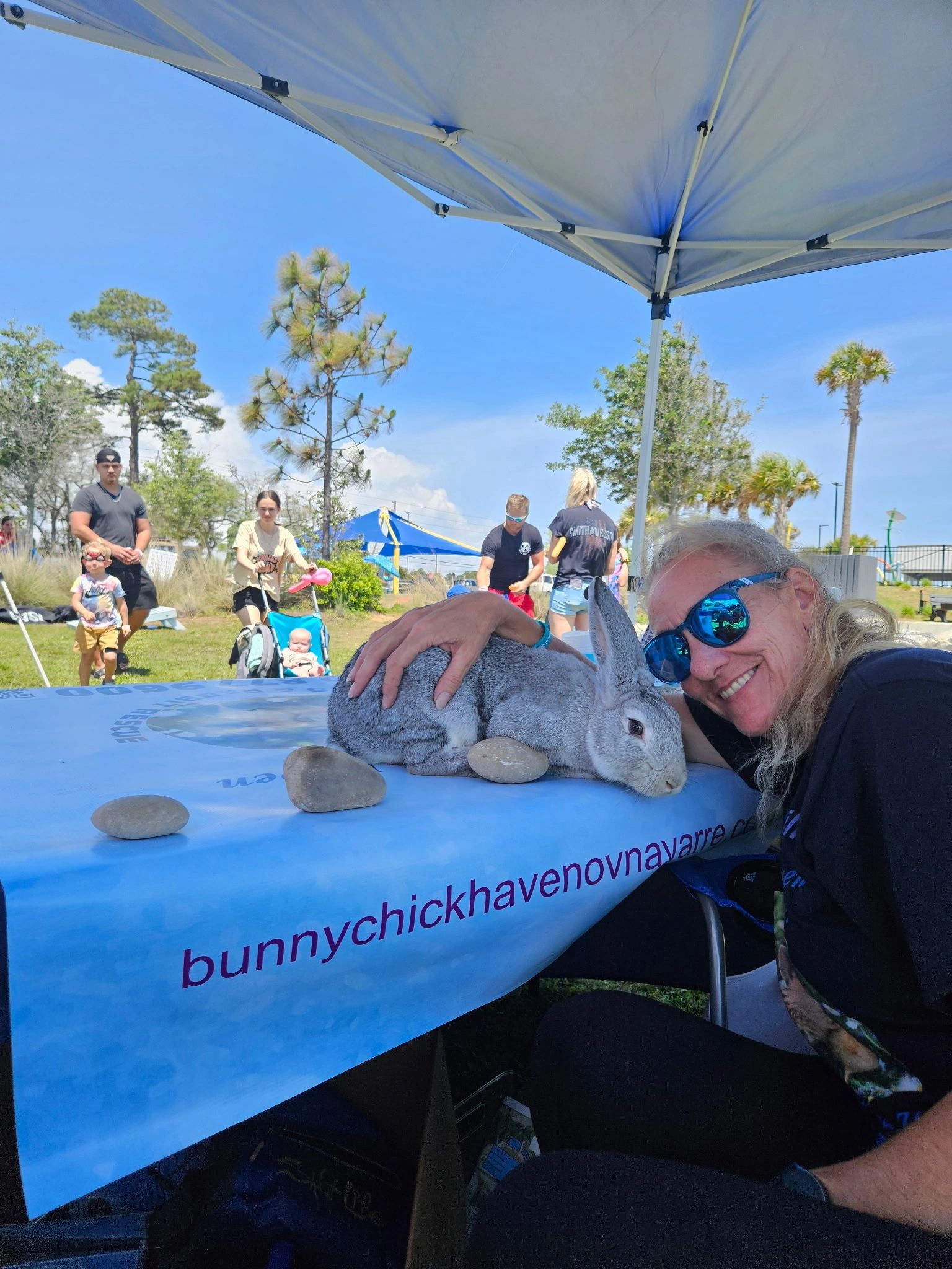 Bunnychick Haven of Navarre - Rock Painting, Adopt a Rabbit, Rabbit Book