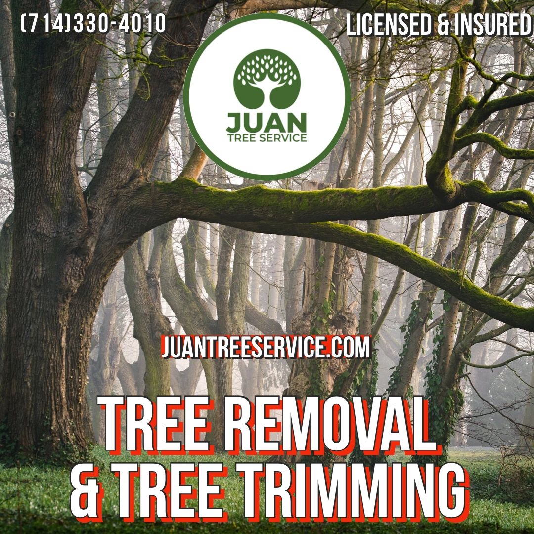 Local Reliable Tree Service Tree Removal Tree Trimming Free Quote