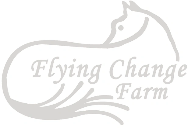 Flying Change Farm - Equestrian Riding, Equestrian Training