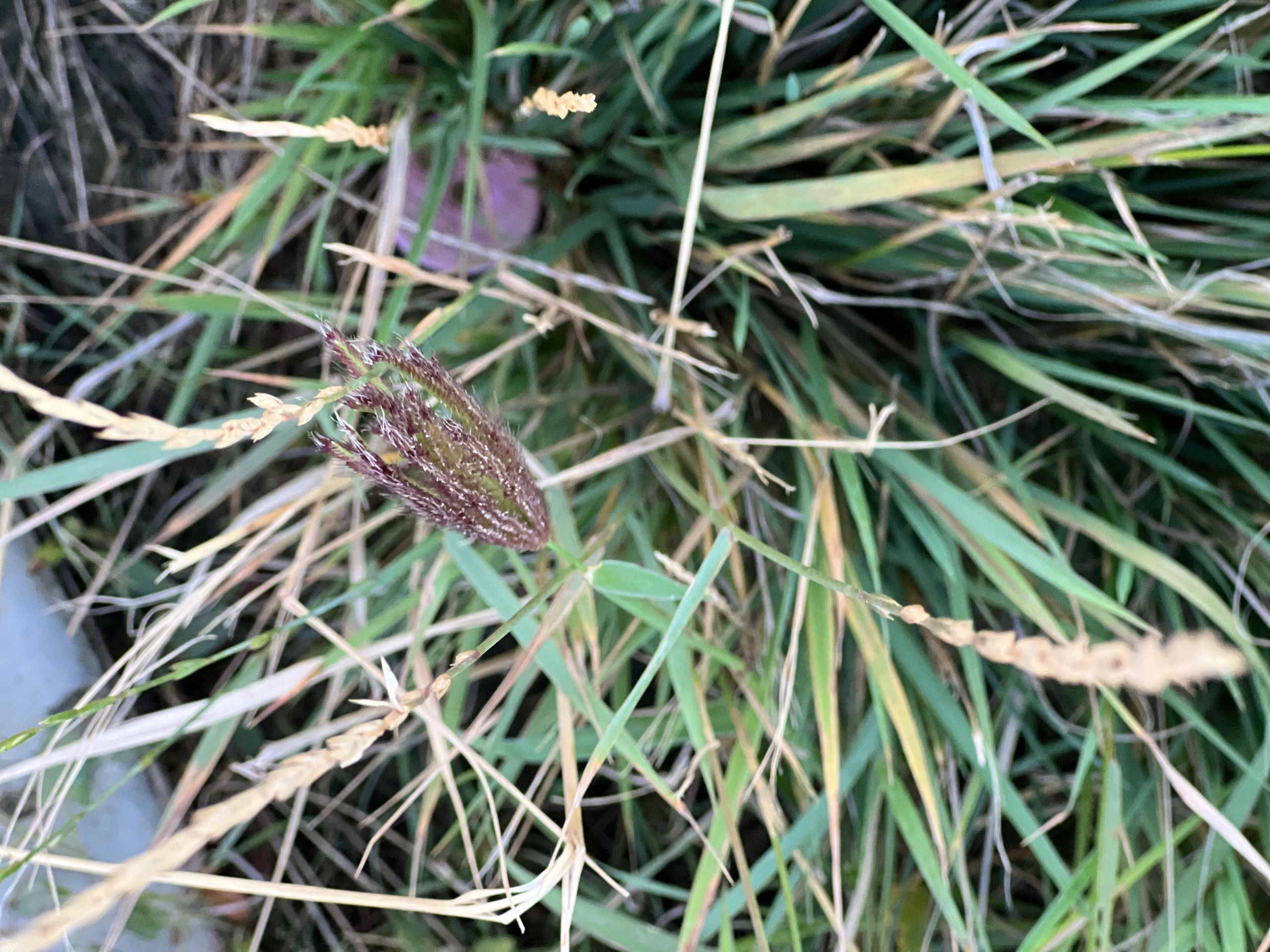 Expert Career Coaching Services | ThinkFactory.Work