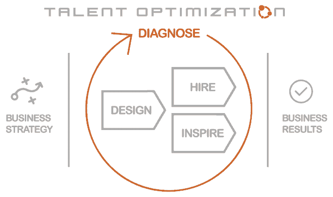 TALENT OPTIMIZATION | Soular Development