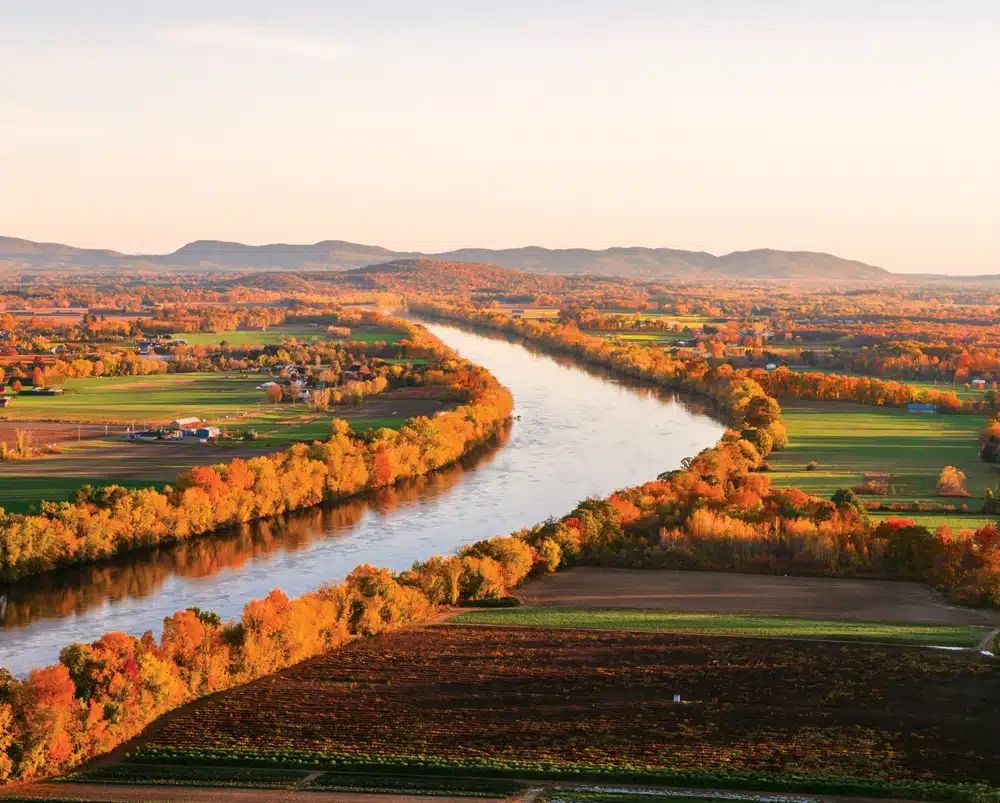 Wildlife Maintenance