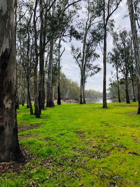 Barmah Bridge Caravan Park