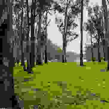 Barmah Bridge Caravan Park