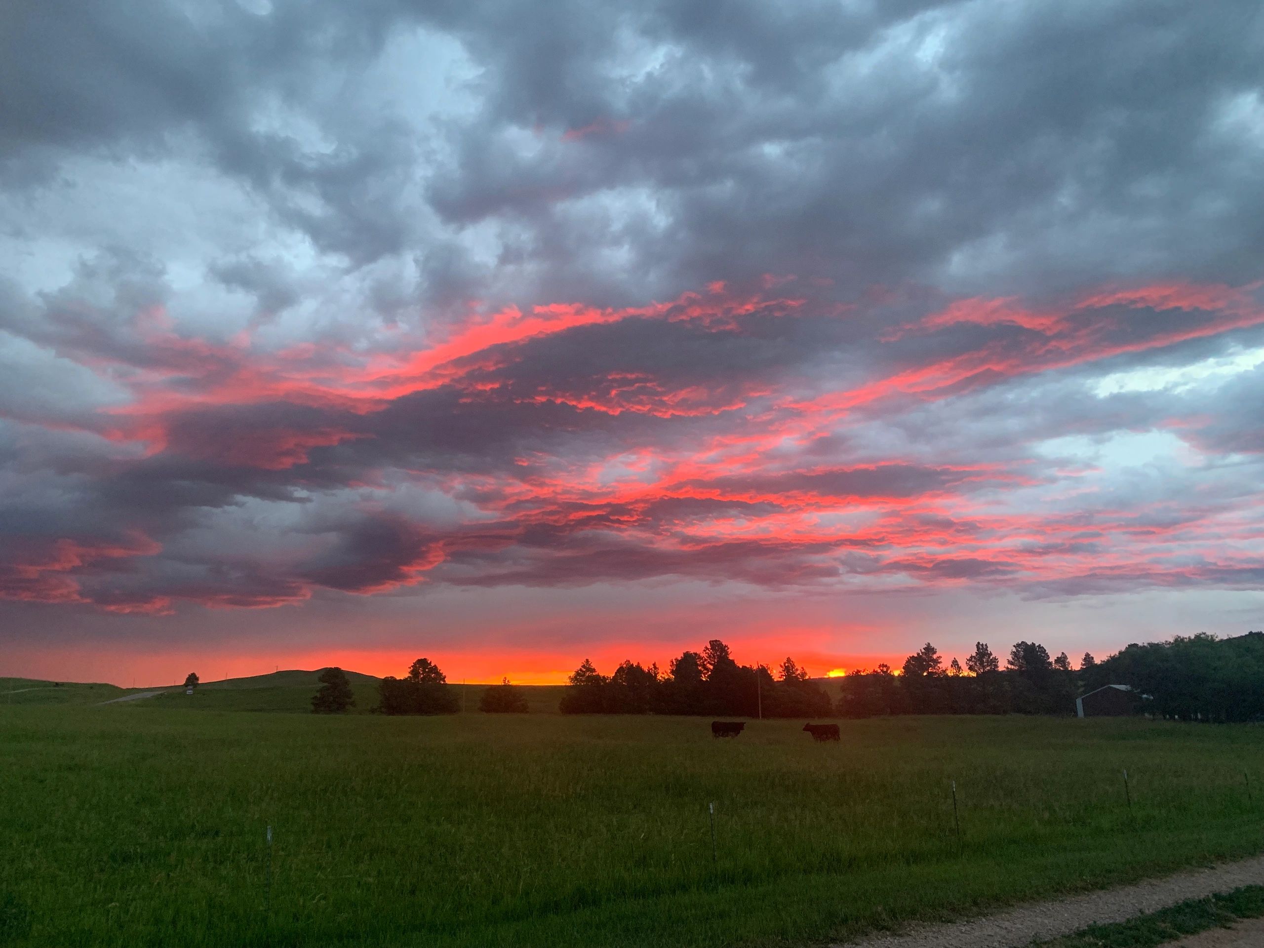 Crooked Arrow Ranch - Premium Grass Fed Beef and Cage Free Eggs