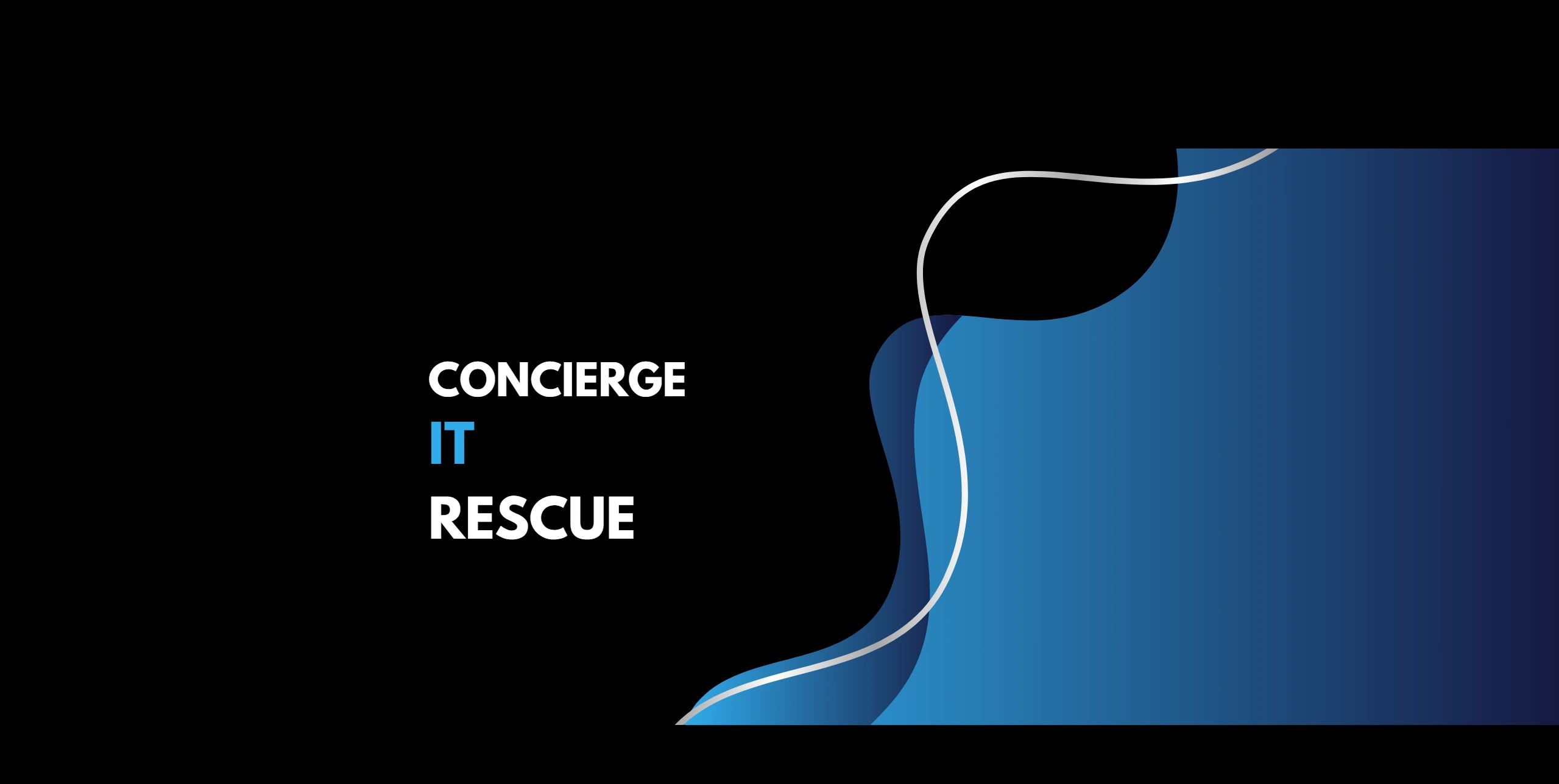 Professional IT Services | Bullshark IT