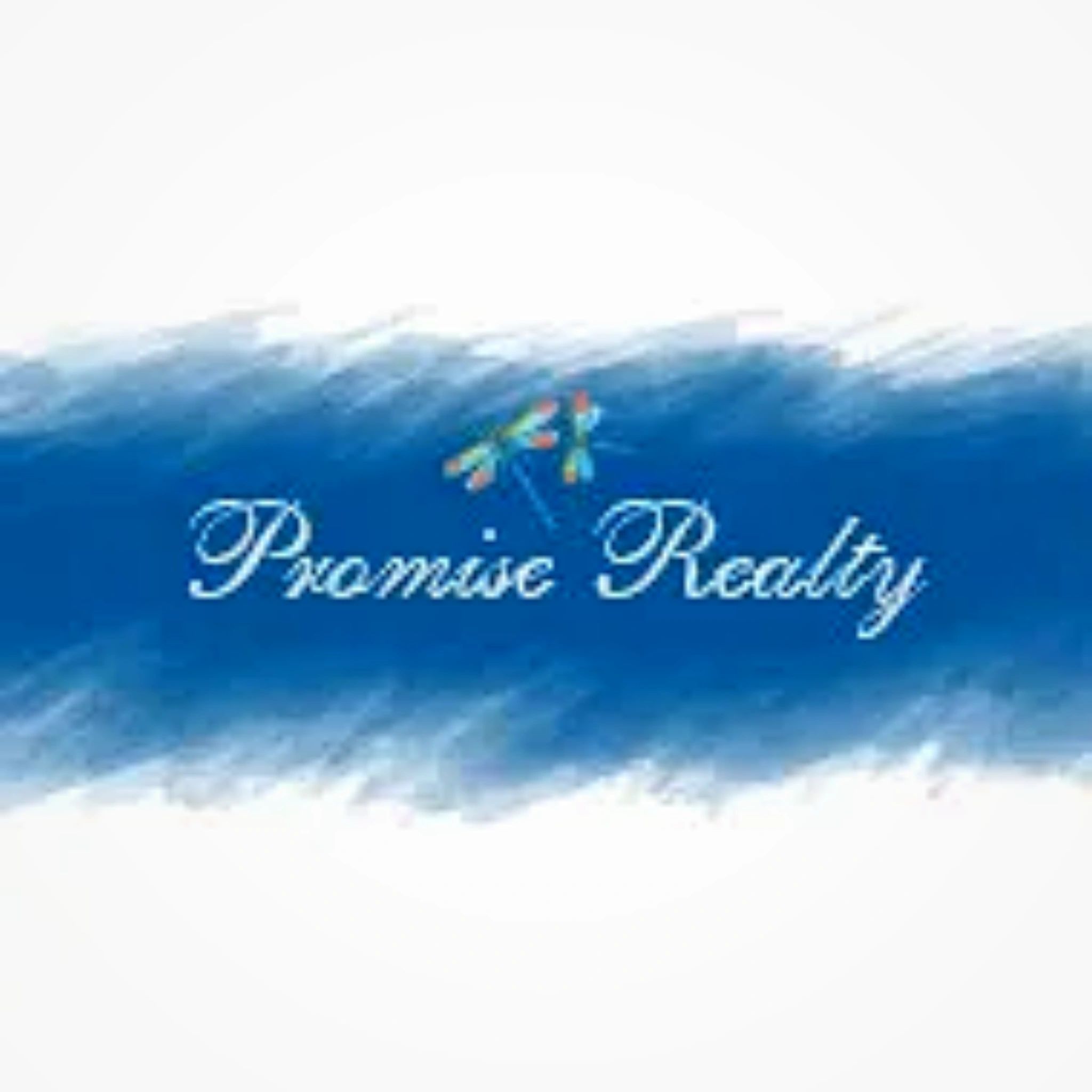 Promise Realty