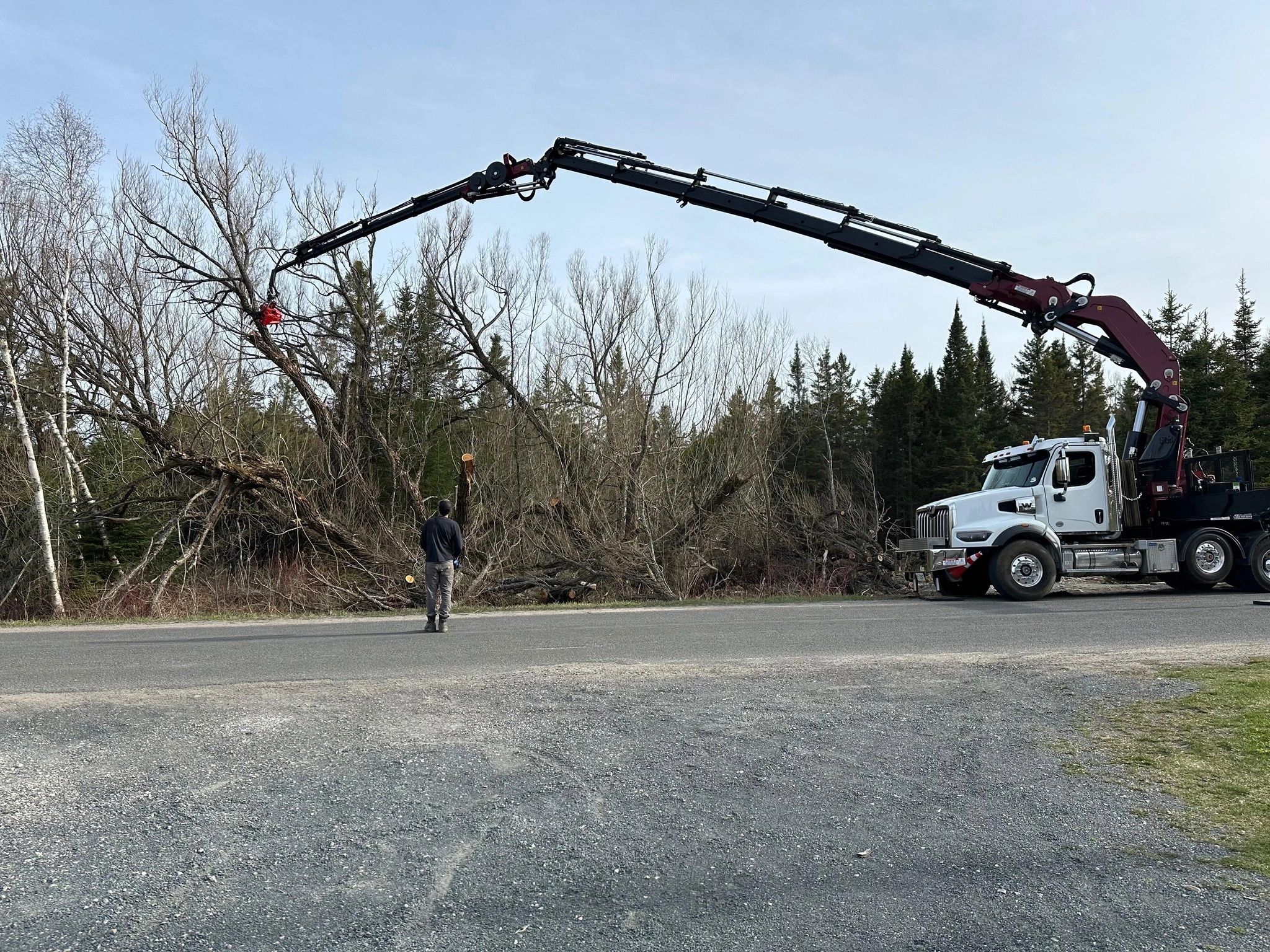 Professional Tree Service | Crane Service | Great Lakes Tree and Crane