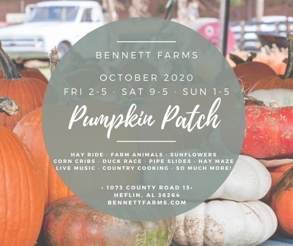 Bennett Farms - Pumpkin Patch, Pumpkins, Farm