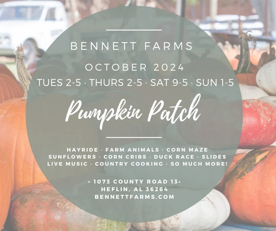 Bennett Farms - Pumpkin Patch, Pumpkins, Farm
