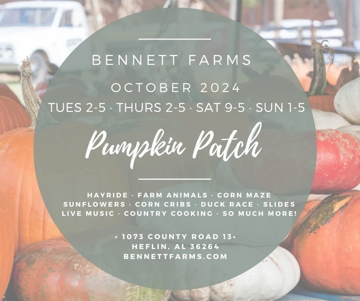 Bennett Farms - Pumpkin Patch, Pumpkins, Farm