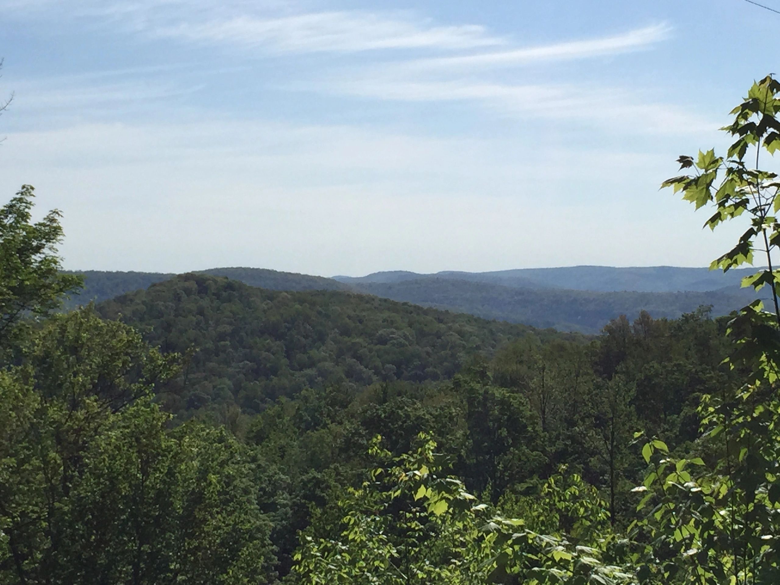 Steam Valley Communications Specialists, Inc. - Commercial ...