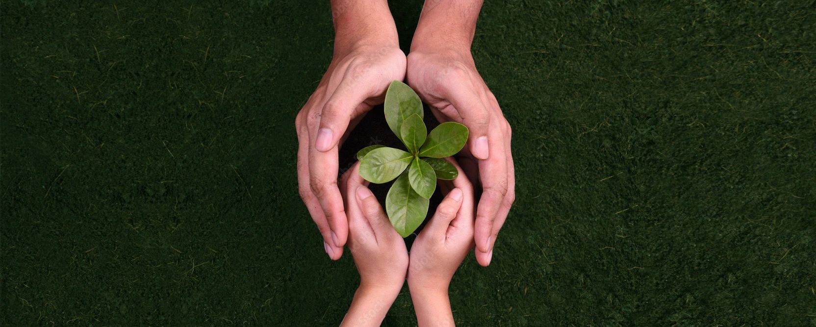 C & K International Ltd. - Home