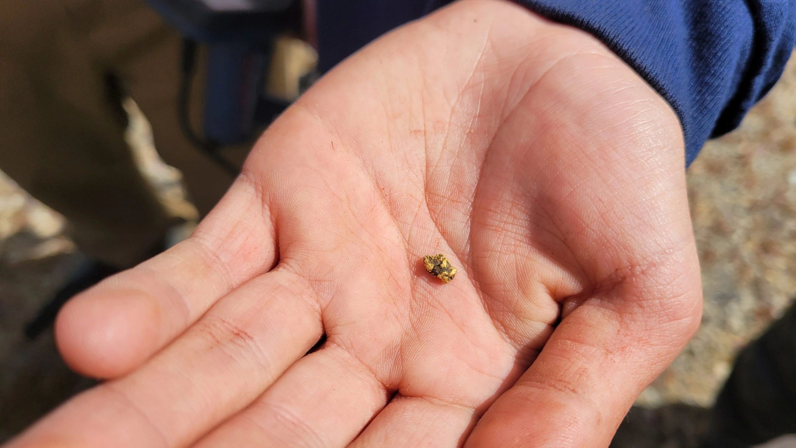 Hi Desert Gold Diggers