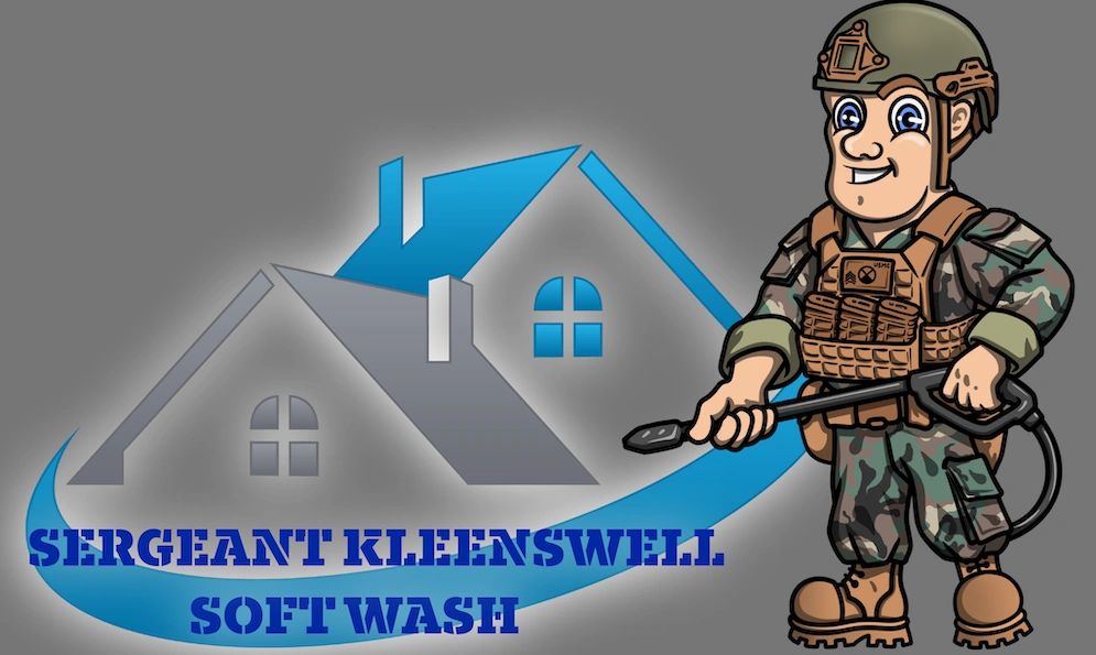 Driveway Cleaning - Sergeant Kleenswell LLC