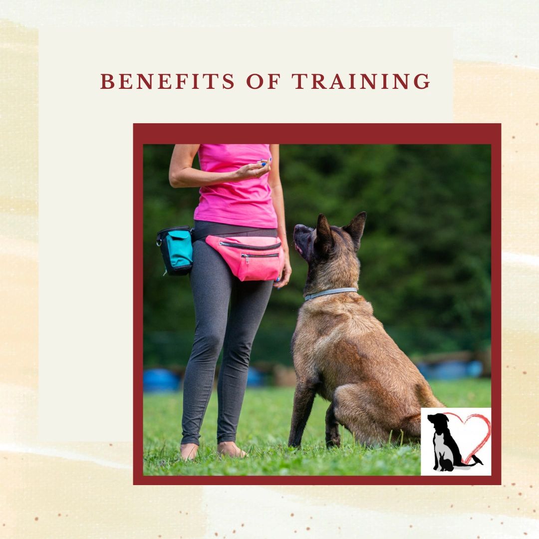 Benefits of Training