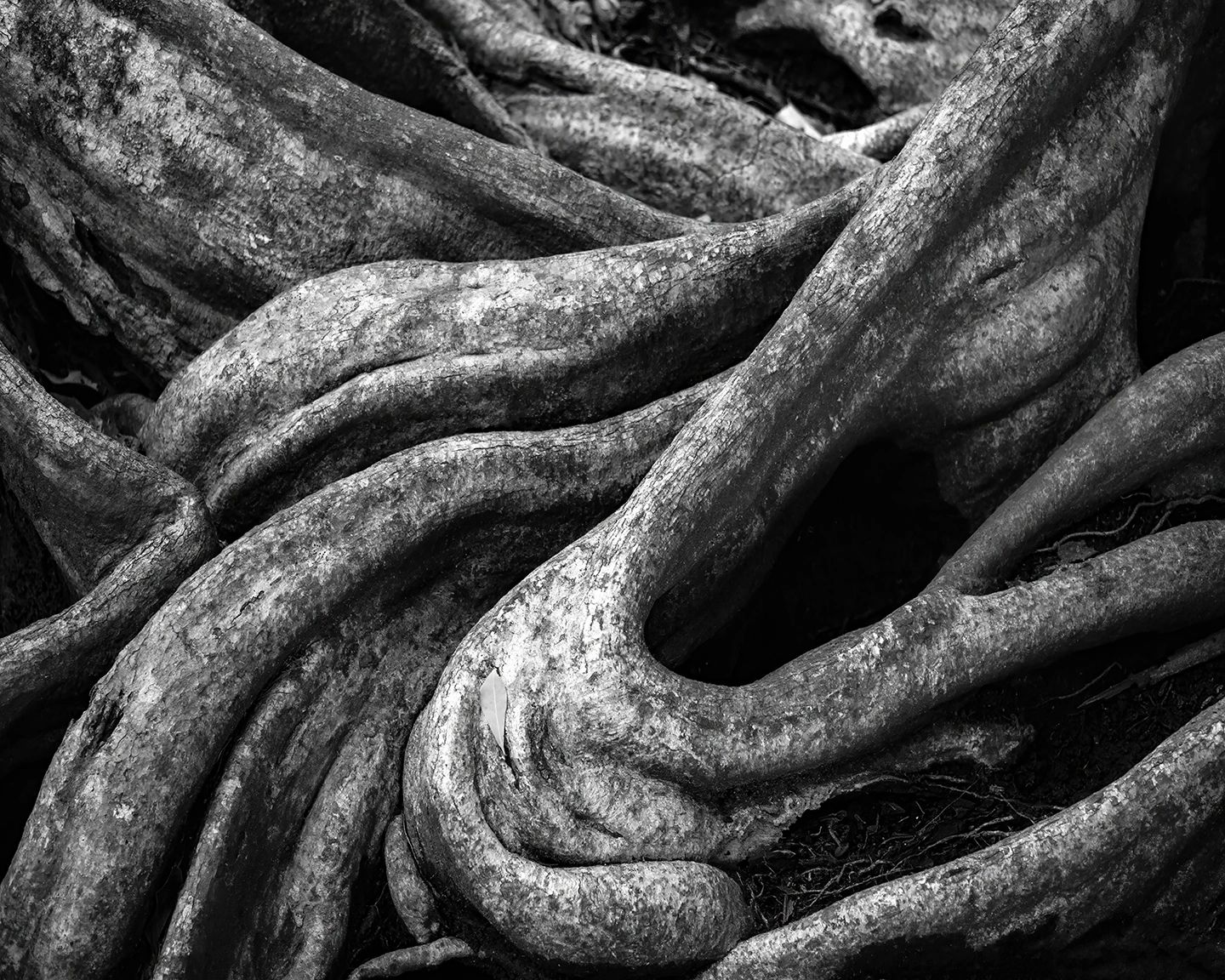 Fine Art Photography | JP Joyce Photography