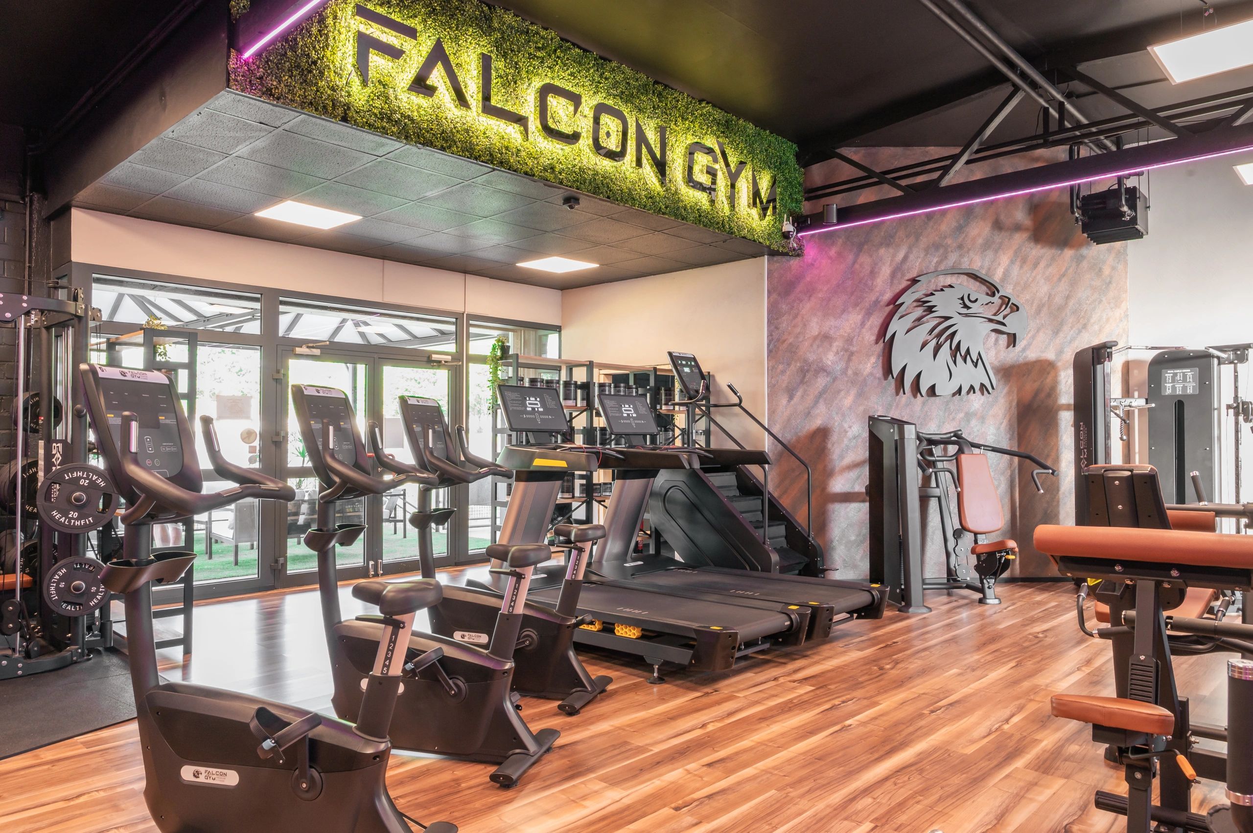 Falcon Gym - Start - Premium Fitness in Bernkastel-Kues