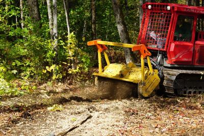 What is Forestry Mulching | Beech Hill Vegetation