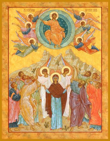 Icon Gallery