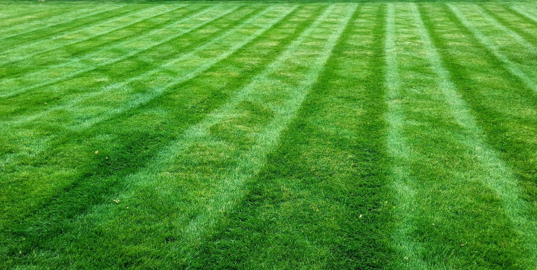 Lawn Armor LLC Omaha - Mowing, Fertilizer, Lawn Maintenance