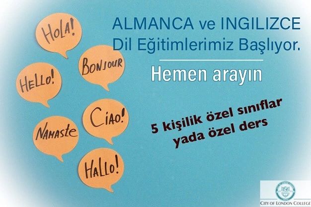 Online Lisans - Online Eğitimi