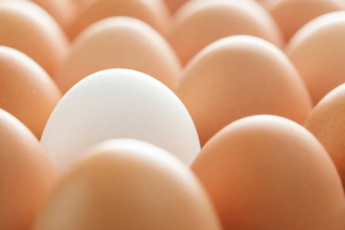 What Do the Sizes and Grades of Eggs Mean?