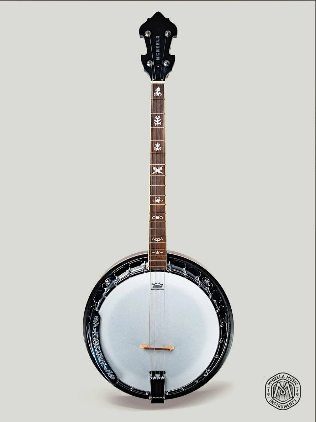 The Rise of the Tenor Banjo