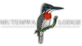 Mutemwa Lodge