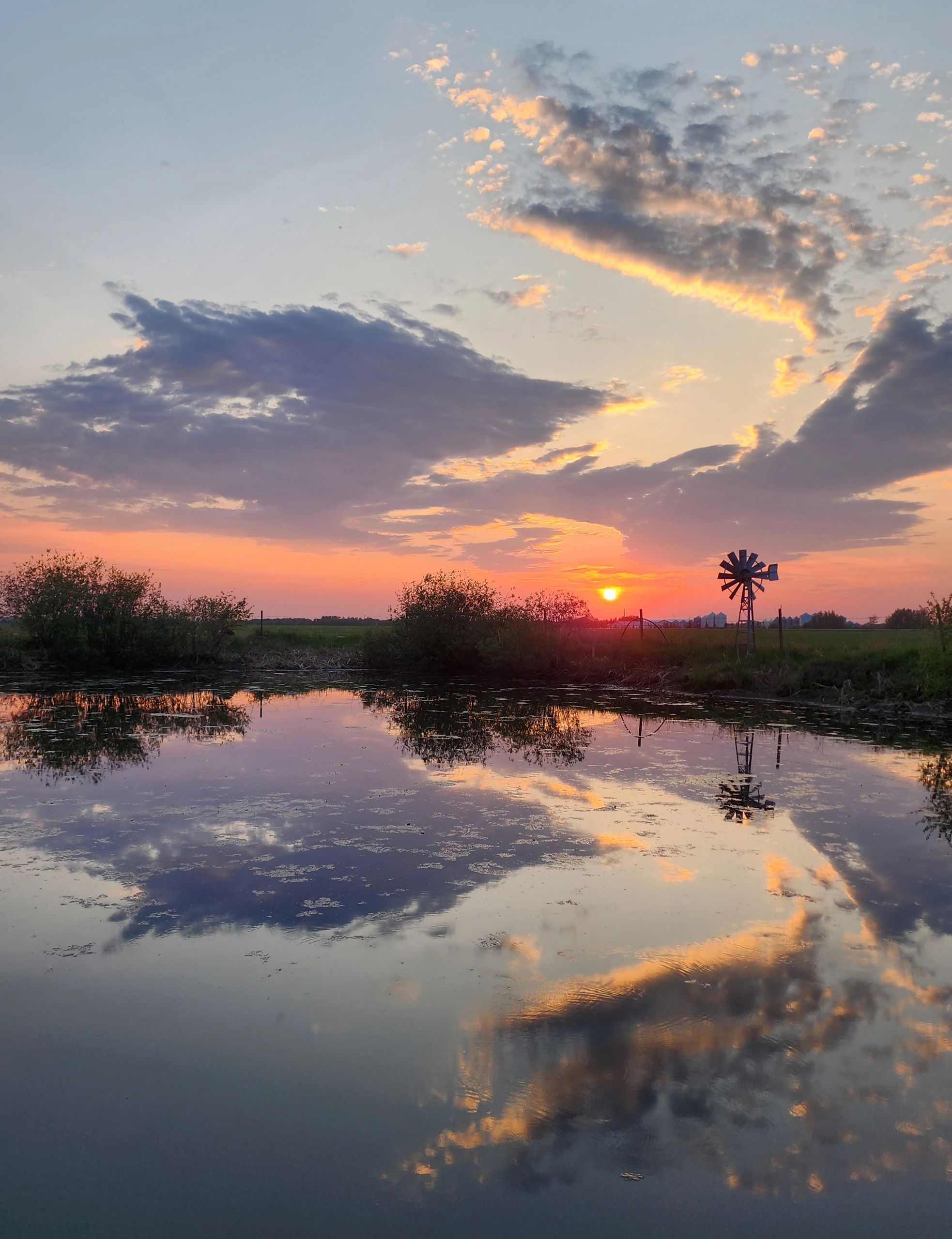 Moonglow Gardens - Seed Library, Free Seed Library, Seed Library